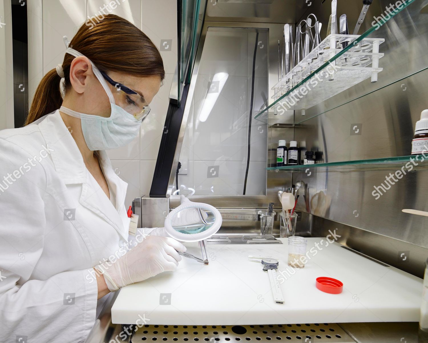 Model Released Pathologist Dissecting Skin Tumor Editorial Stock Photo ...