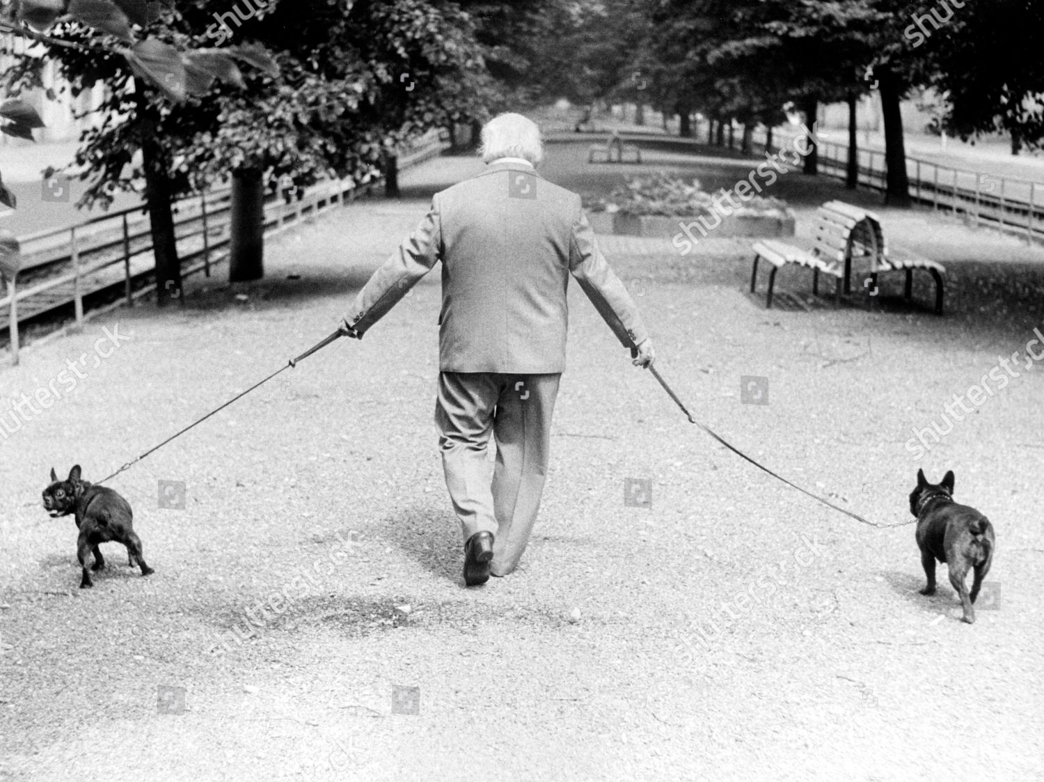Man Two Dogs Ca 1980s East Editorial Stock Photo - Stock Image ...