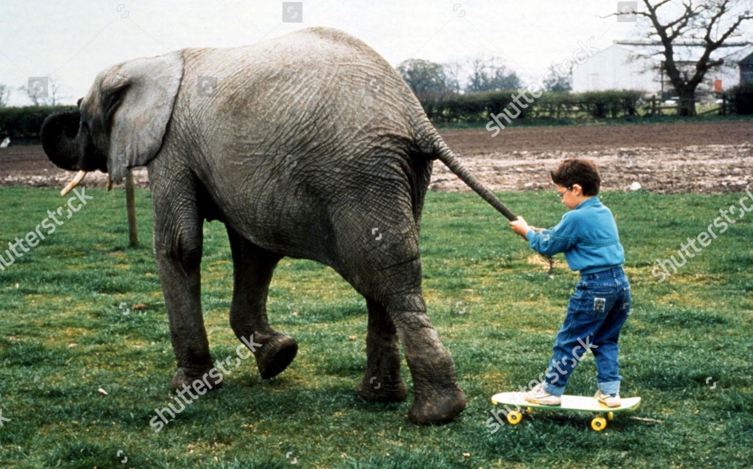 Elephant Pulls Child England Great Britain Editorial Stock Photo ...