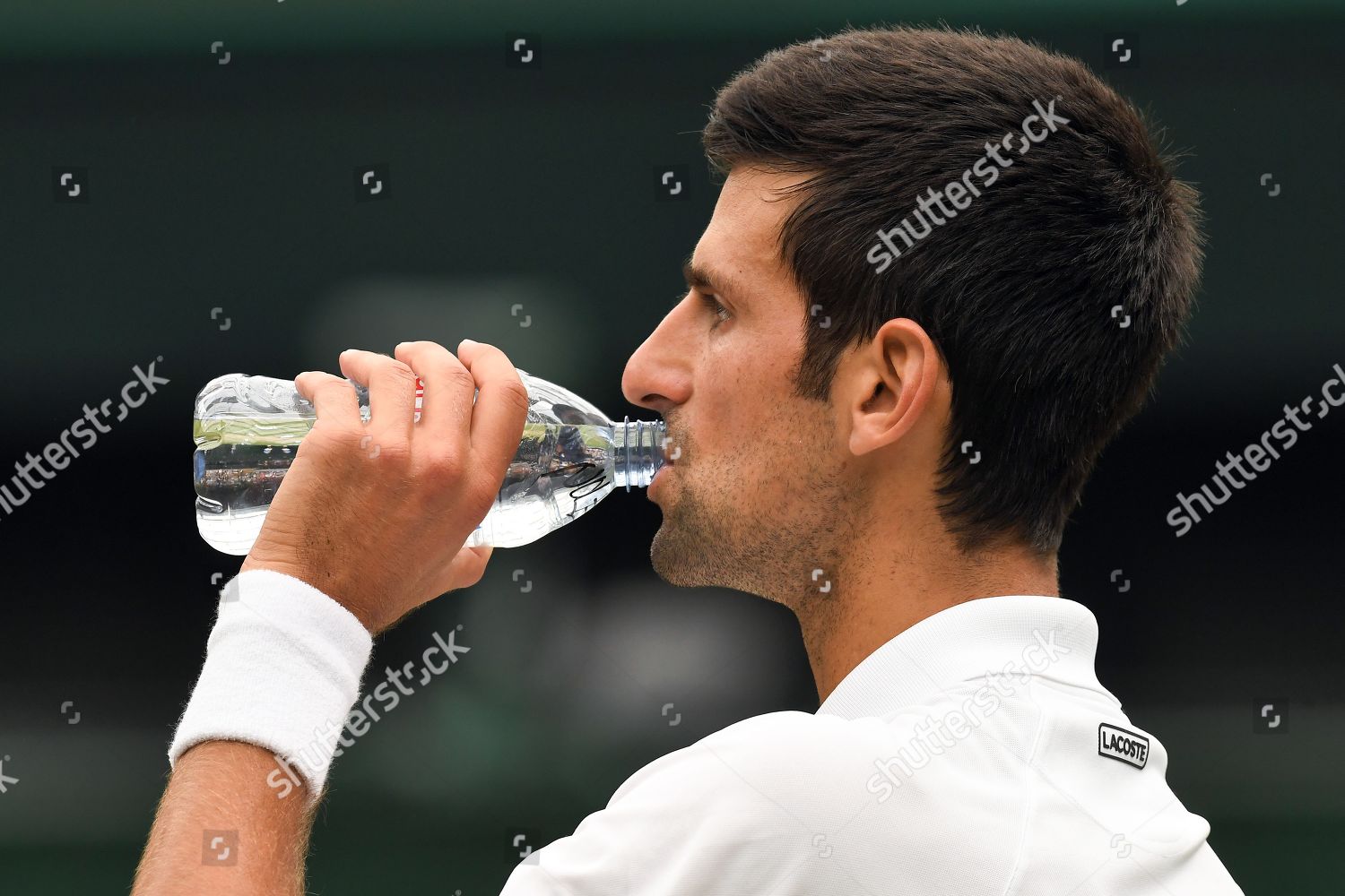 Novak Djokovic Drinking Water During His Editorial Stock Photo - Stock ...