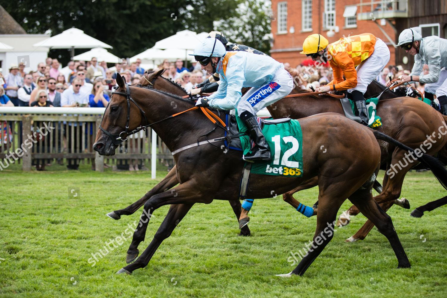 BURNT SUGAR TRAINED BY ROGER FELL Editorial Stock Photo - Stock Image ...