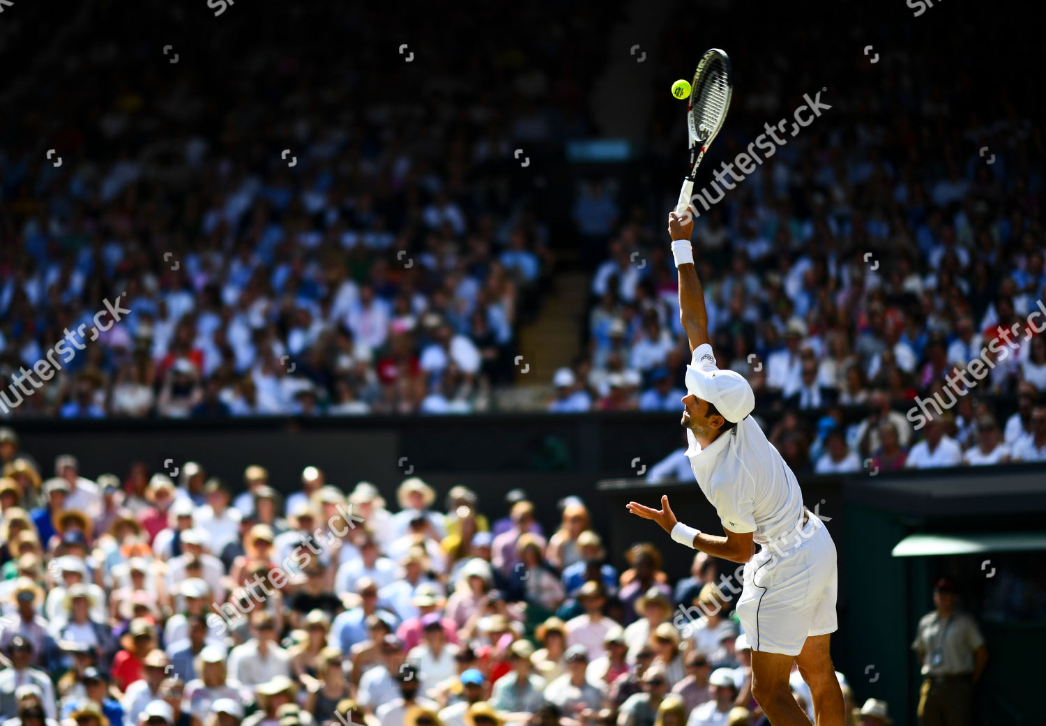 Novak Djokovic Action Serving During Gentlemens Editorial Stock Photo ...