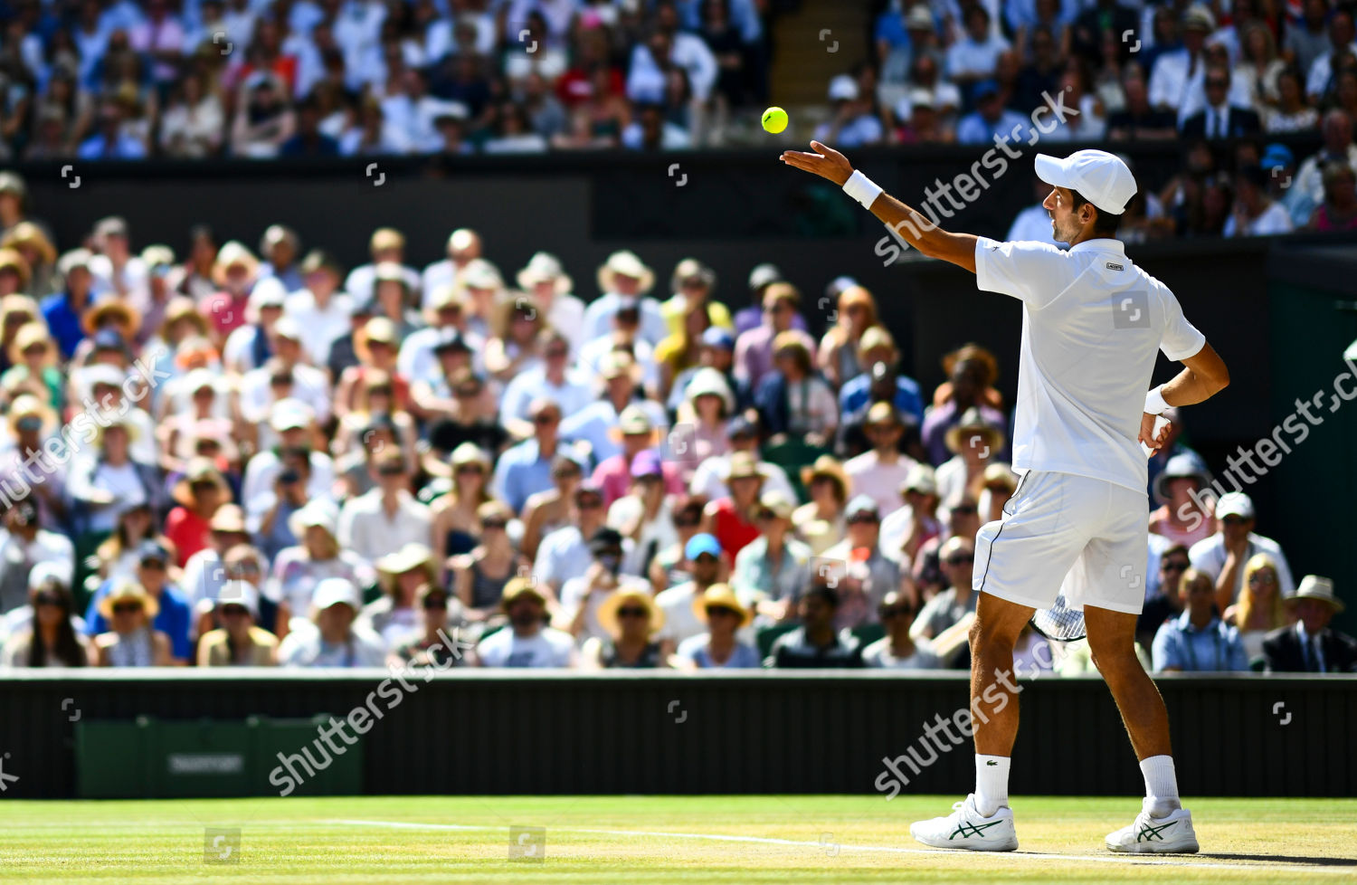 Novak Djokovic Action Serving During Gentlemens Editorial Stock Photo ...