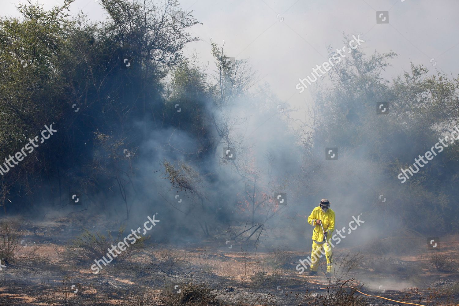 Israeli Firefighters Nature Parks Authority Try Editorial Stock Photo ...