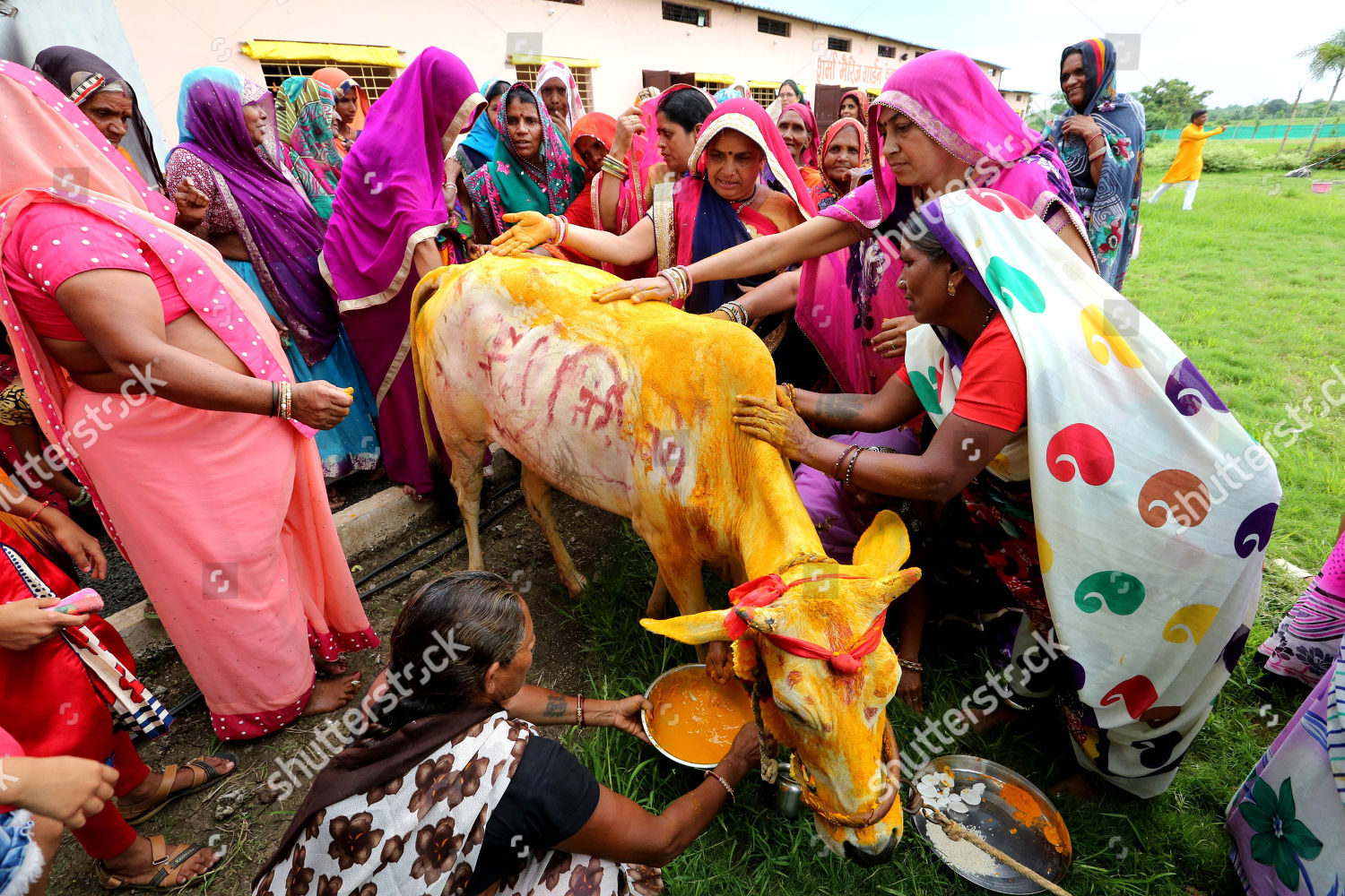 Villagers Perform Rituals They Arrange Marriage Editorial Stock Photo ...