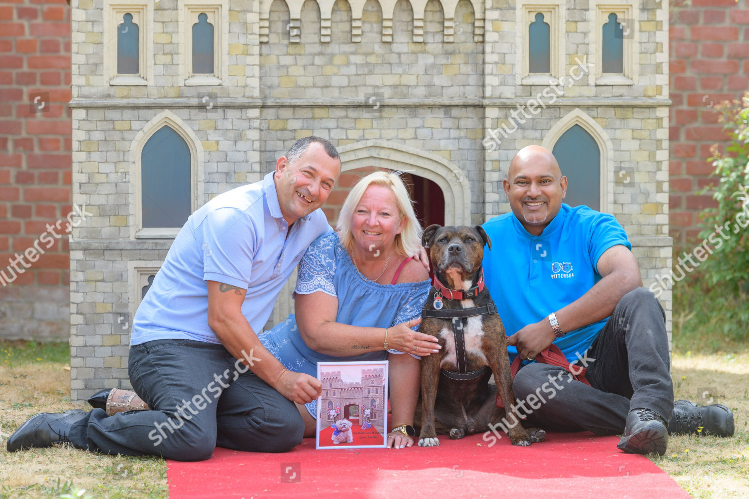 Michael Crossland Susan Crossland Tyson Staffy Editorial Stock Photo ...