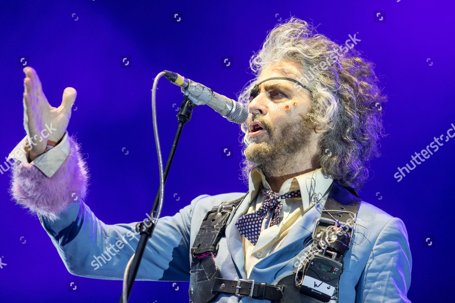 Wayne Coyne Editorial Stock Photo - Stock Image | Shutterstock