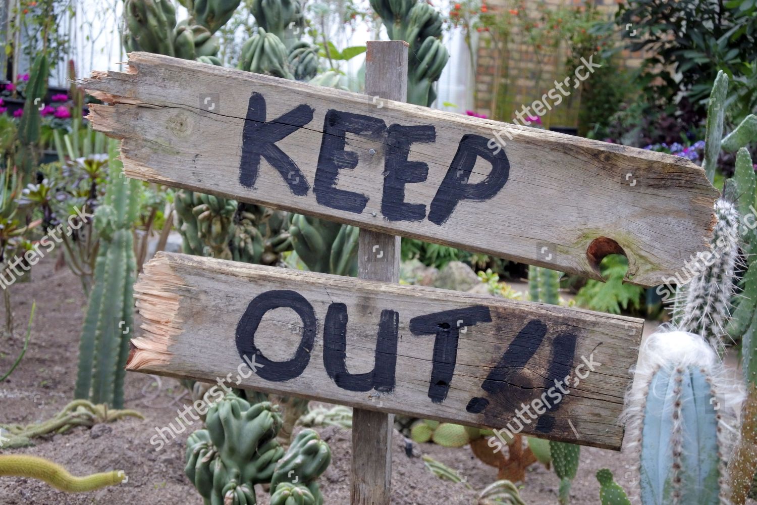 Old Keep Out Signpost Beside Cactus Editorial Stock Photo - Stock Image ...