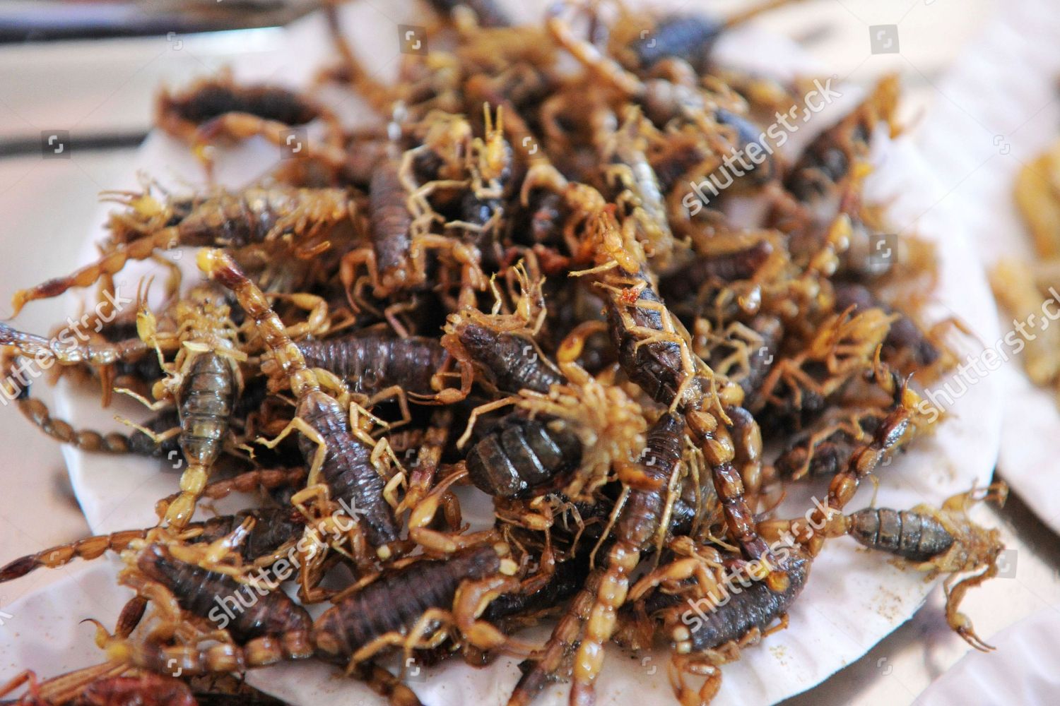 Fried Insects Including Scorpions Centipedes Grasshoppers Editorial ...