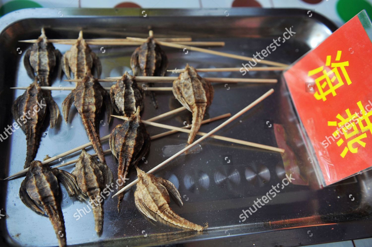 Fried Insects Including Scorpions Centipedes Grasshoppers Editorial ...