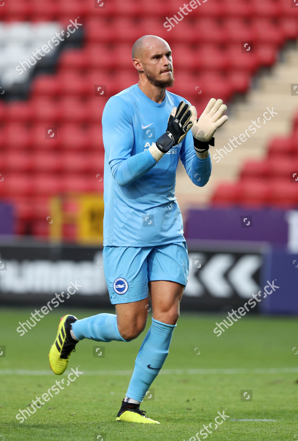 Brighton Hove Albion Goalkeeper David Button Editorial Stock Photo ...