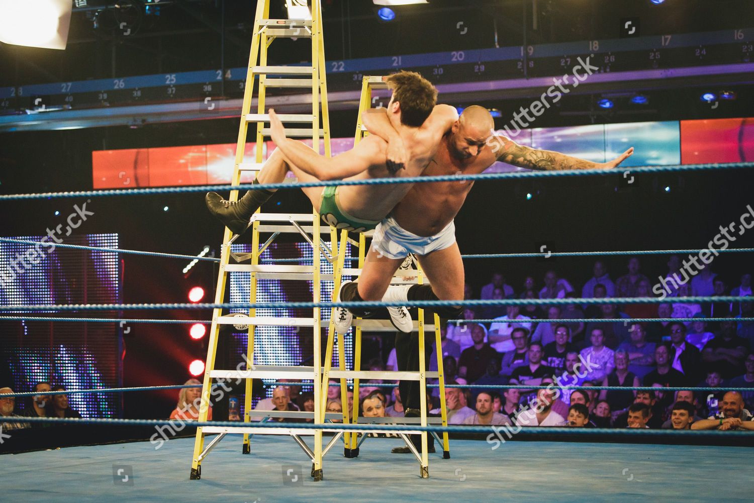 Lionheart Liam Slater Editorial Stock Photo - Stock Image | Shutterstock