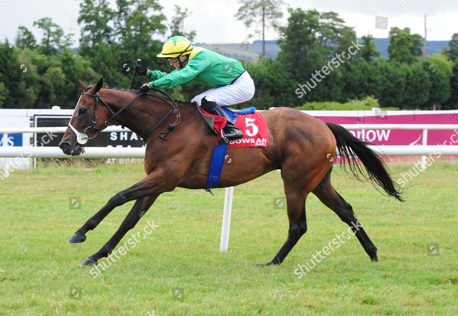 Gowran Park Stamp Authority Danny Sheehy Editorial Stock Photo - Stock ...