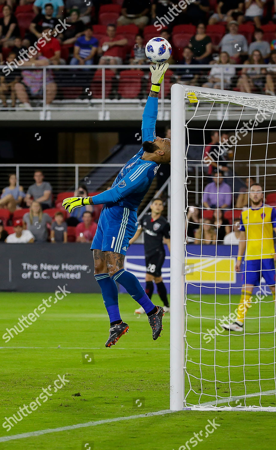 Colorado Rapids Goalkeeper 1 Tim Howard Editorial Stock Photo - Stock ...