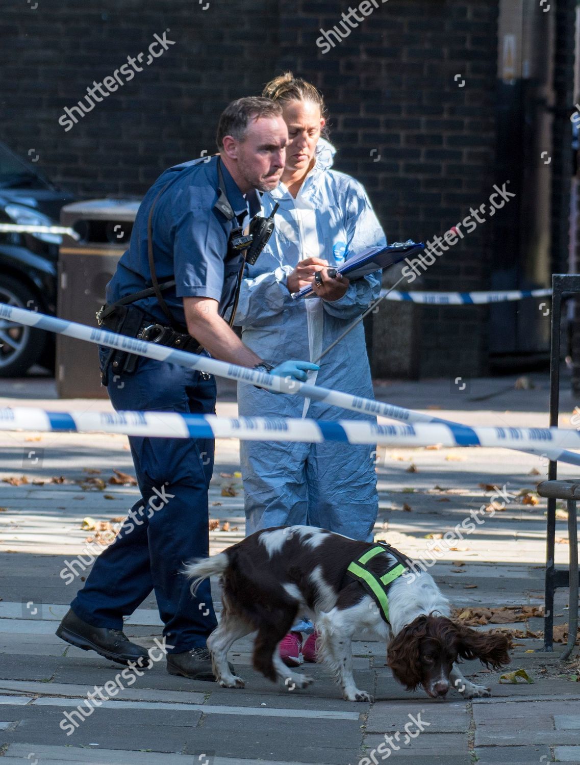 Forensics Search Dog Look Blood Trails Editorial Stock Photo - Stock ...
