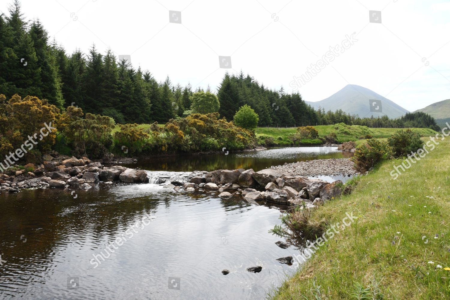 River Forss Editorial Stock Photo - Stock Image | Shutterstock
