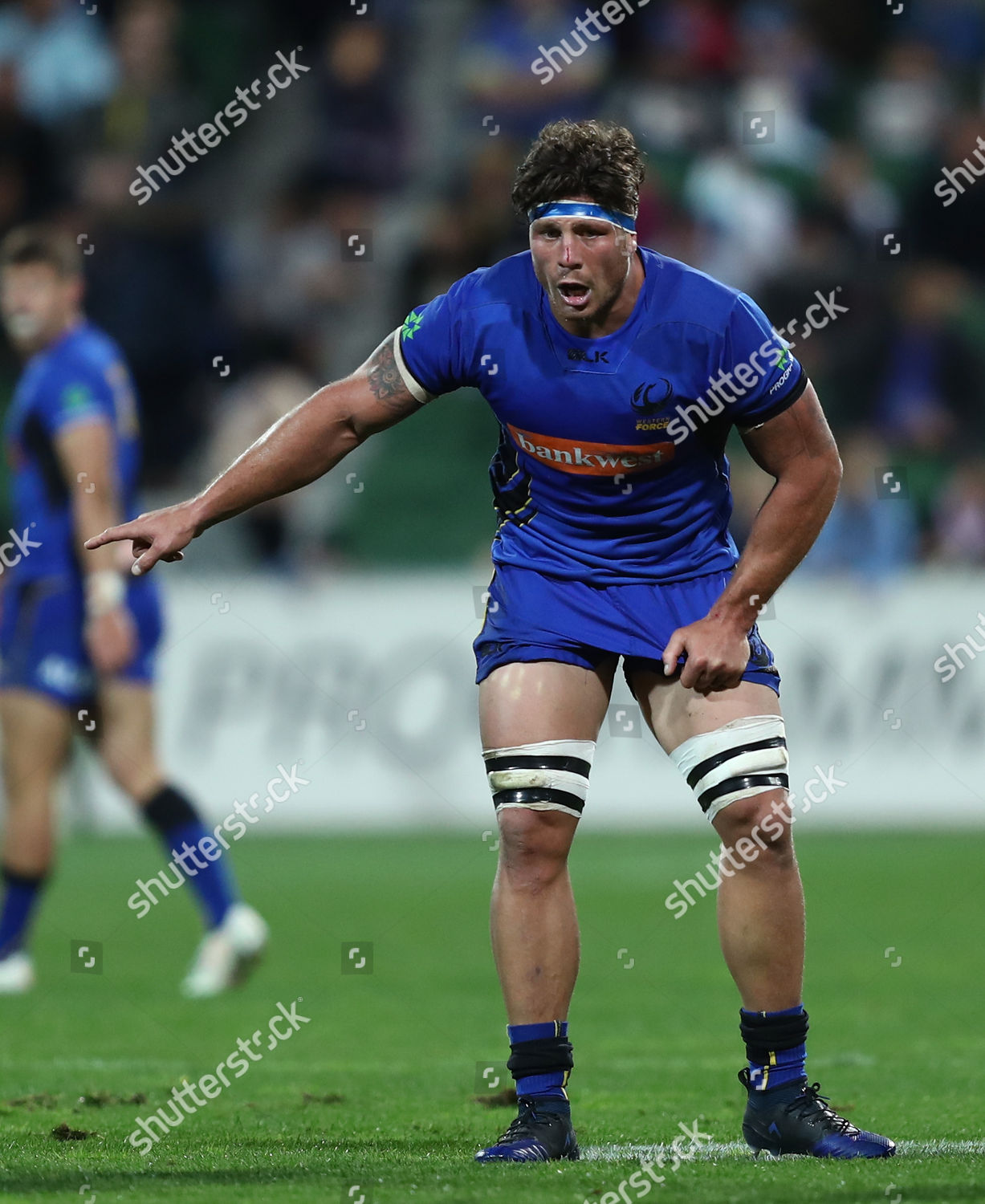 Brynard Stander Western Force Editorial Stock Photo - Stock Image ...