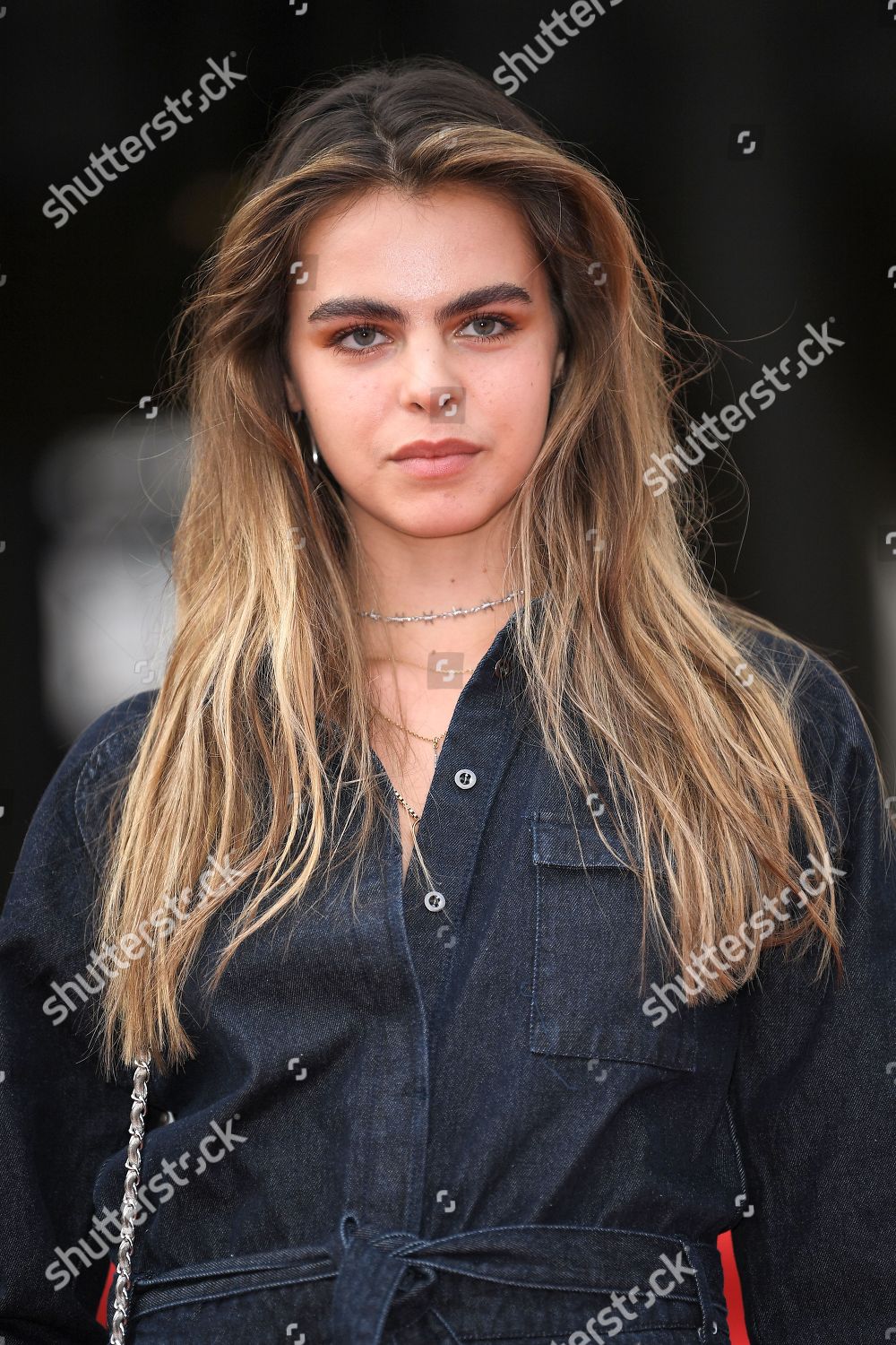 BEE BEARDSWORTH Editorial Stock Photo - Stock Image | Shutterstock