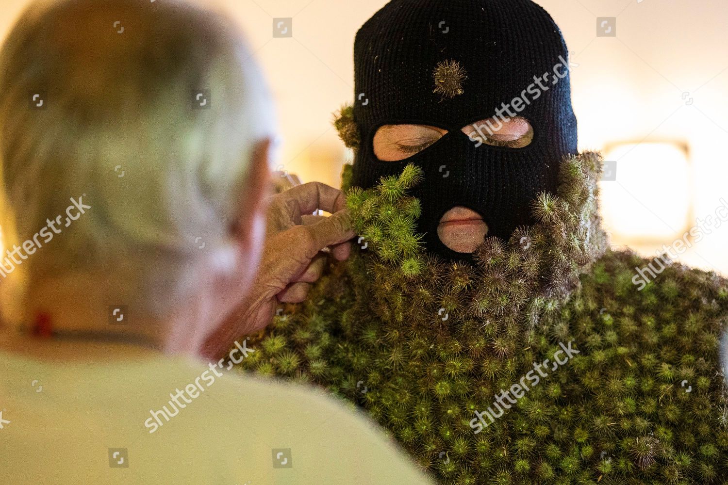 Burryman Encased Burrs Before He Parades Editorial Stock Photo - Stock ...