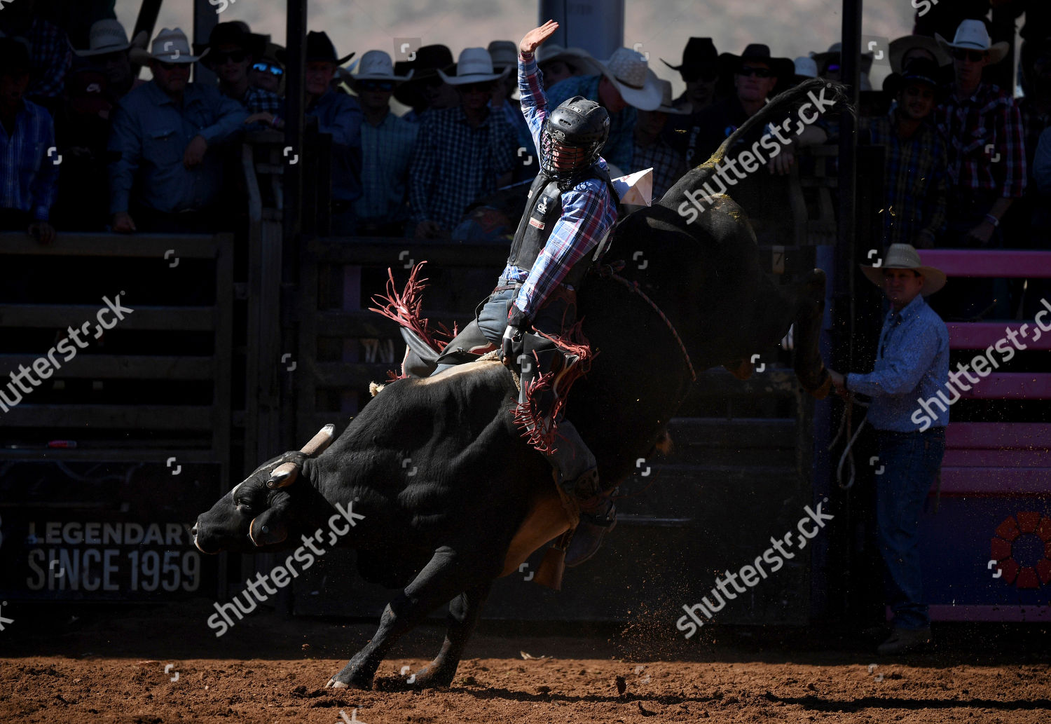 Jake Curr Competes Open Bull Ride Editorial Stock Photo - Stock Image ...