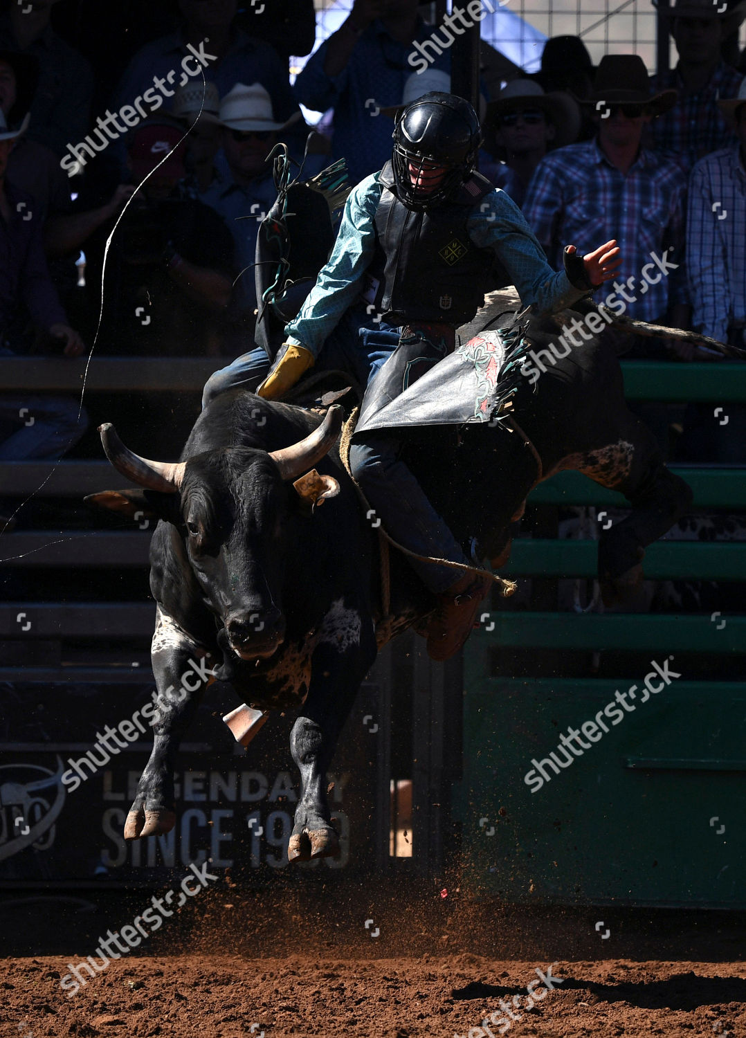 Jack Ramon Competes Open Bull Ride Editorial Stock Photo - Stock Image ...