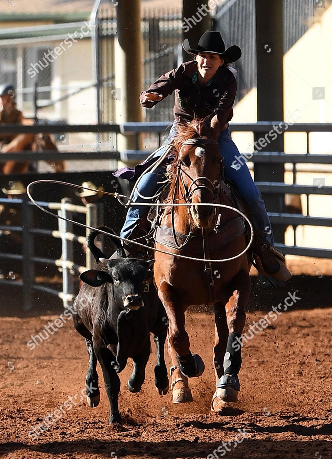 Amanda Tielen Competes Ladies Breakaway Roping Editorial Stock Photo ...