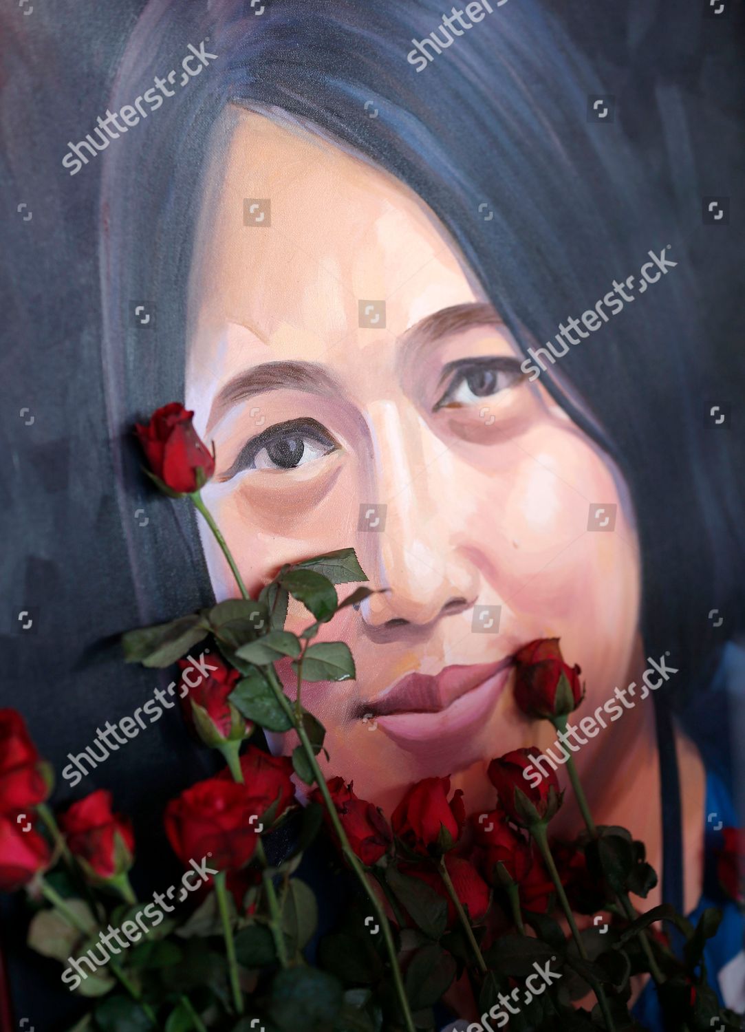 Roses Laid Front Portrait Mee Mee Editorial Stock Photo - Stock Image ...