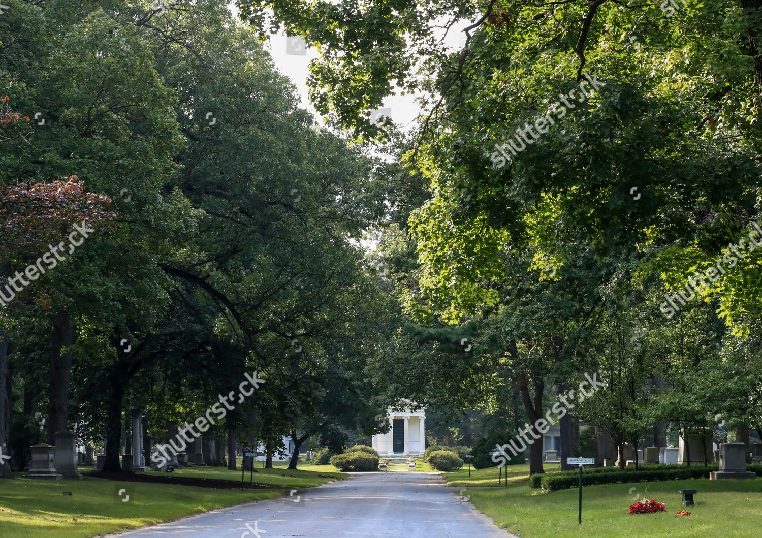 Tall Trees Line Main Road Into Editorial Stock Photo - Stock Image ...