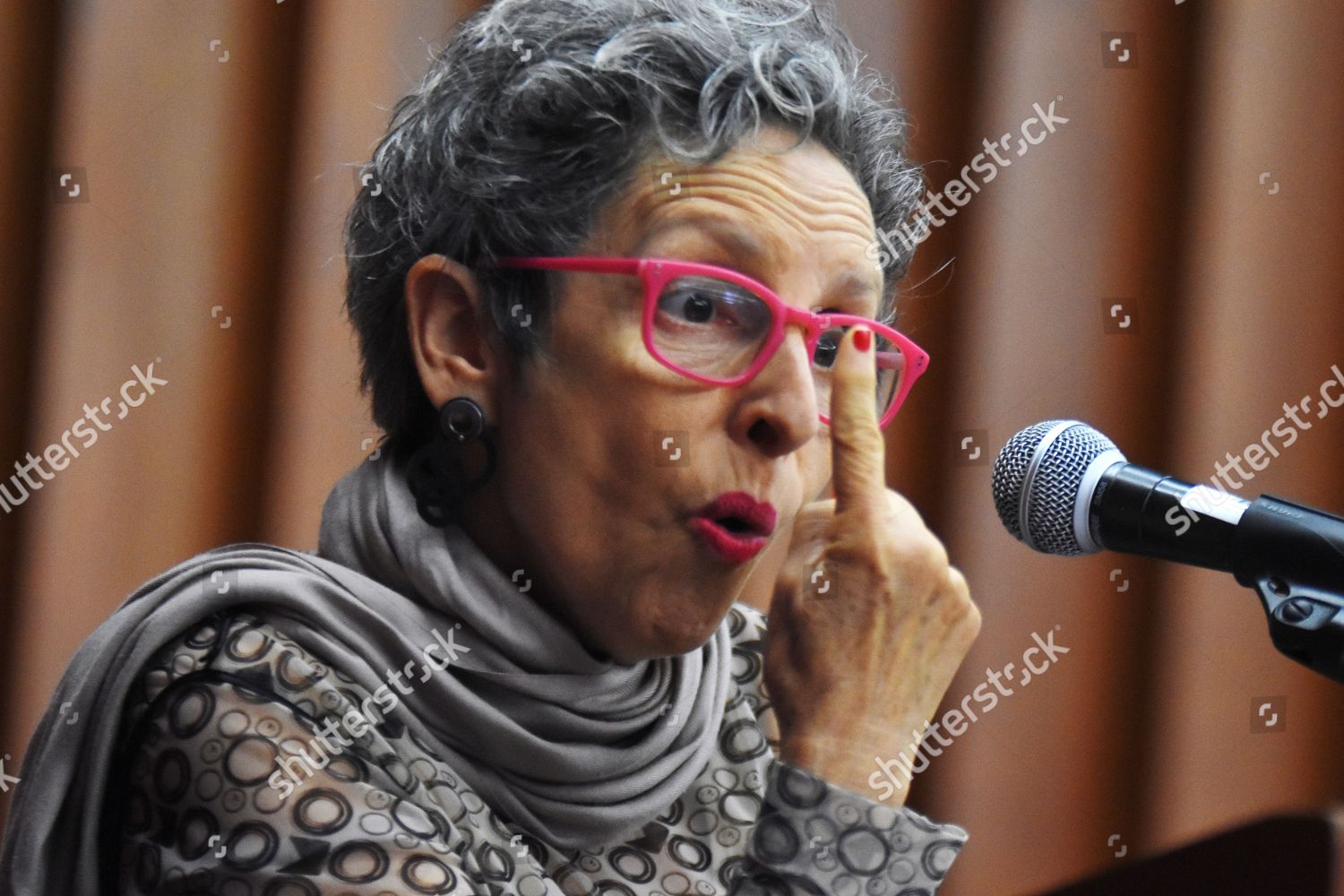 Raquel Rolnik Brazilian Architect Former Special Editorial Stock Photo ...
