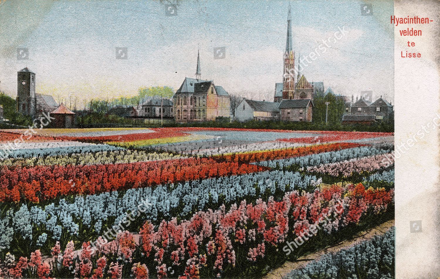 Lisse Town Netherlands Southwest Amsterdam Known Editorial Stock Photo ...