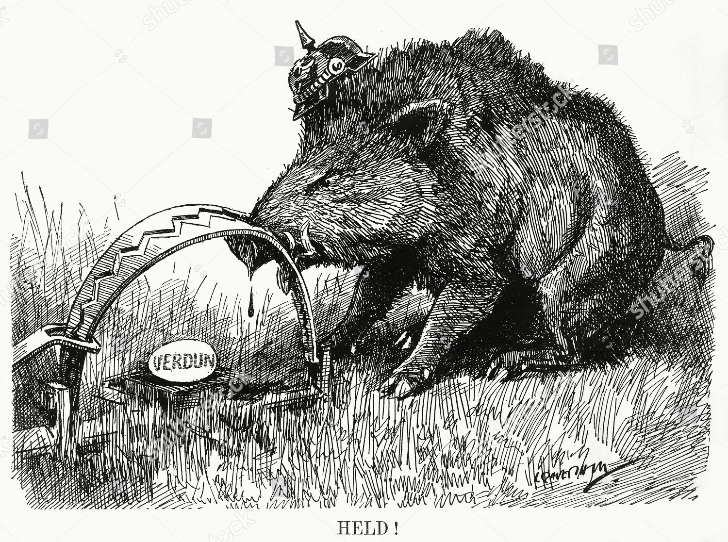 German Boar Held Verdun Cartoon By Editorial Stock Photo - Stock Image ...