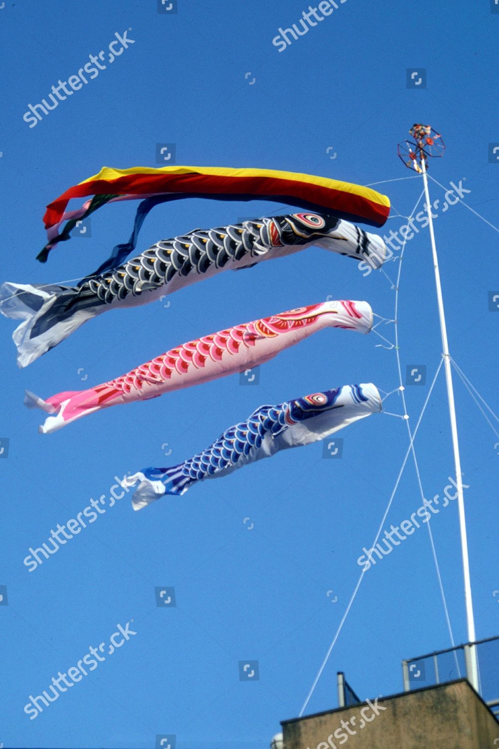 Koi Nobari Carp Fish Shaped Streamers Editorial Stock Photo - Stock ...