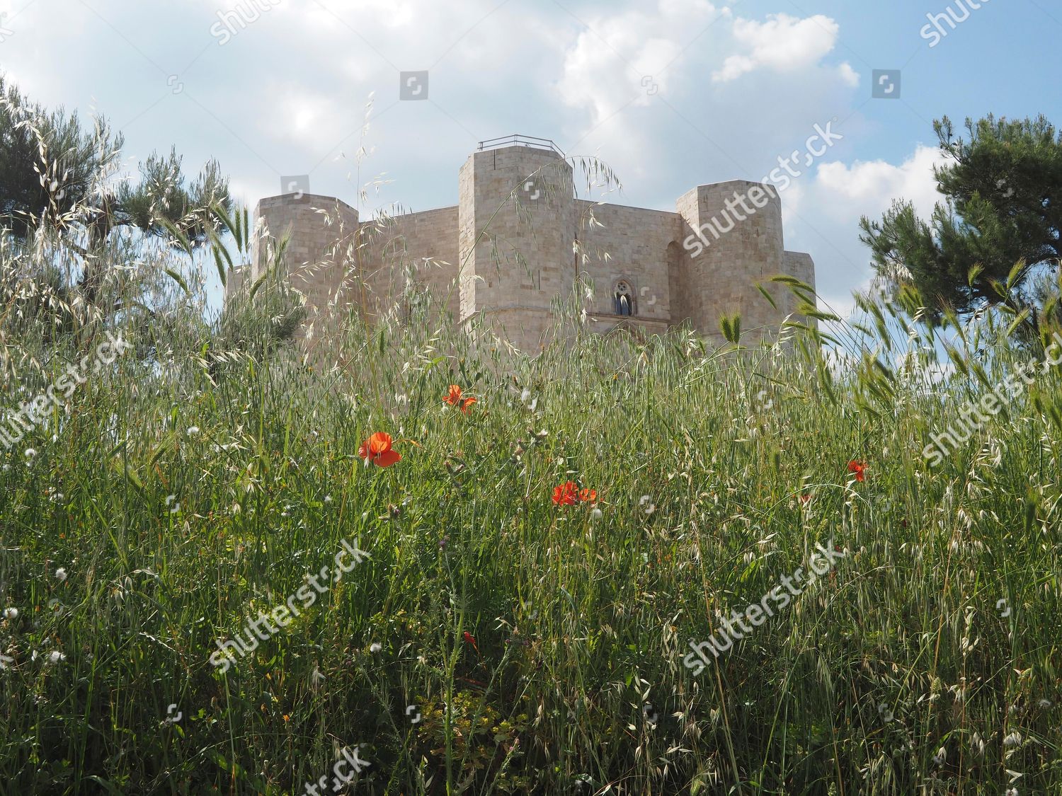 Castel Del Monte Castle Staufer Emperor Editorial Stock Photo - Stock ...