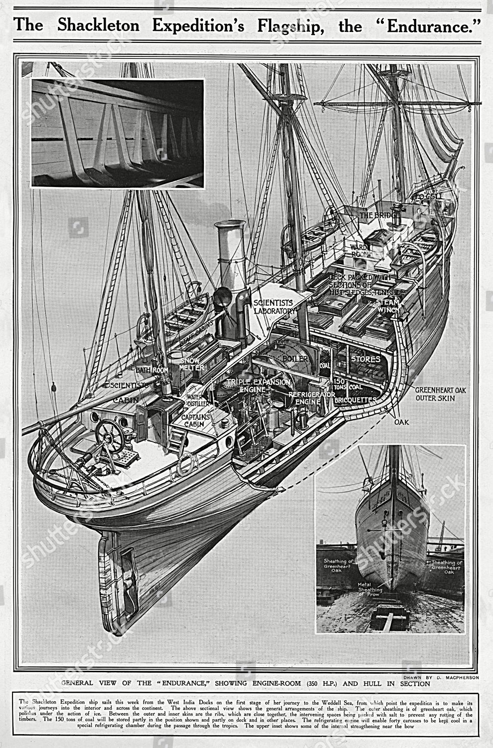 Cutaway View Endurance Flagship Ernest Shackletons Editorial Stock ...