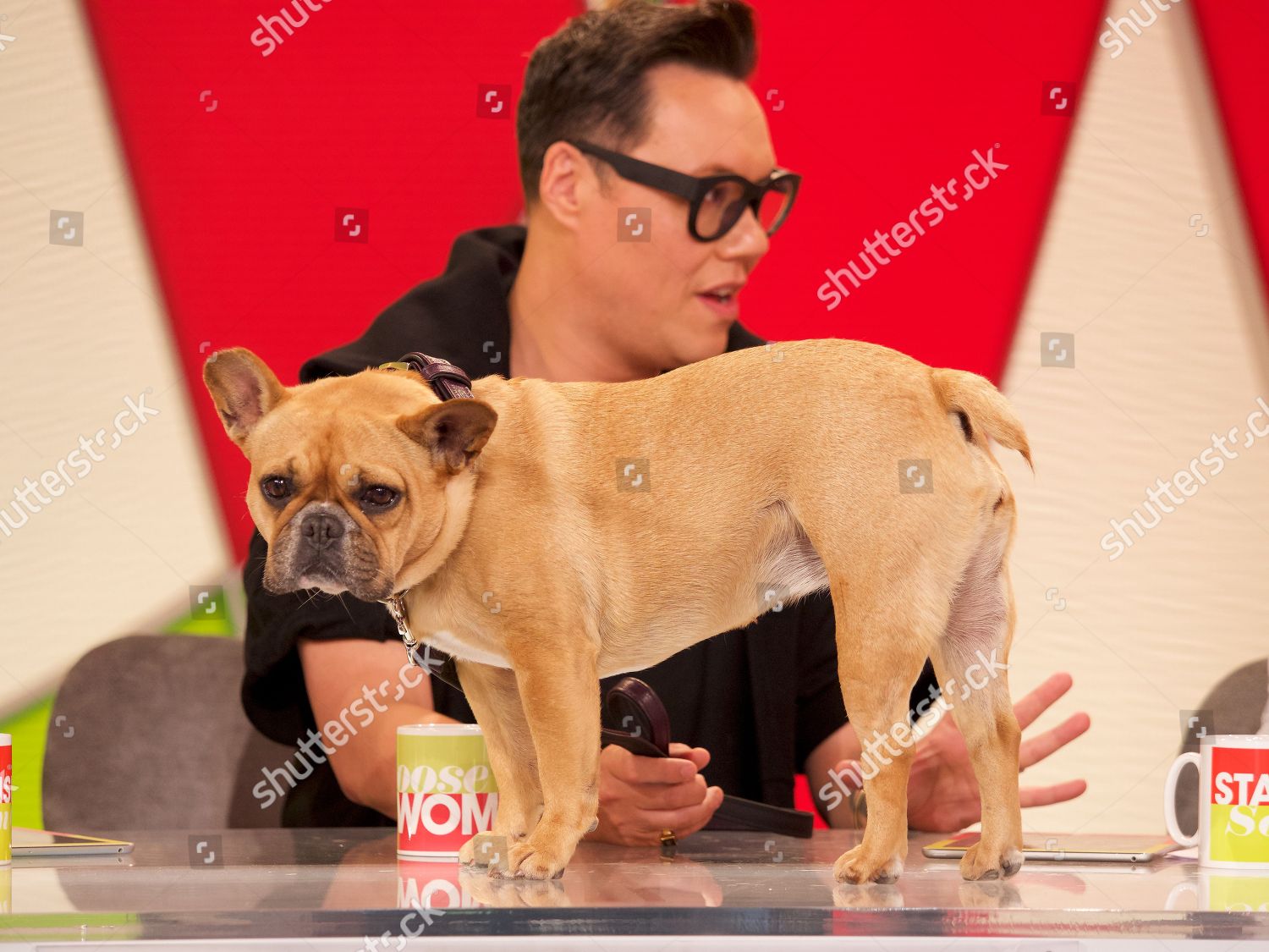Gok Wan Dolly Dog Editorial Stock Photo - Stock Image | Shutterstock
