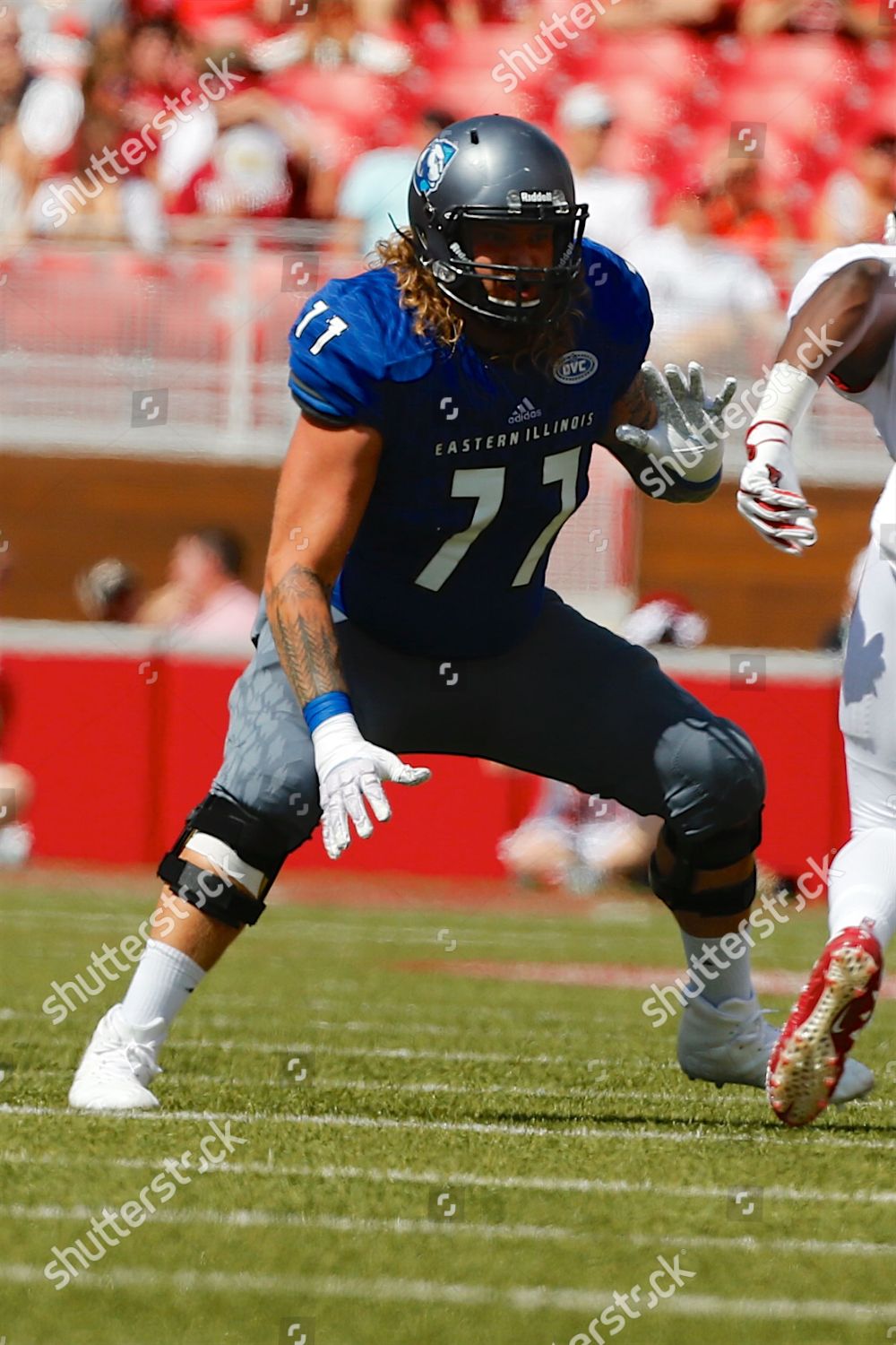 Panther Left Tackle Josh Doyle 77 Editorial Stock Photo - Stock Image ...