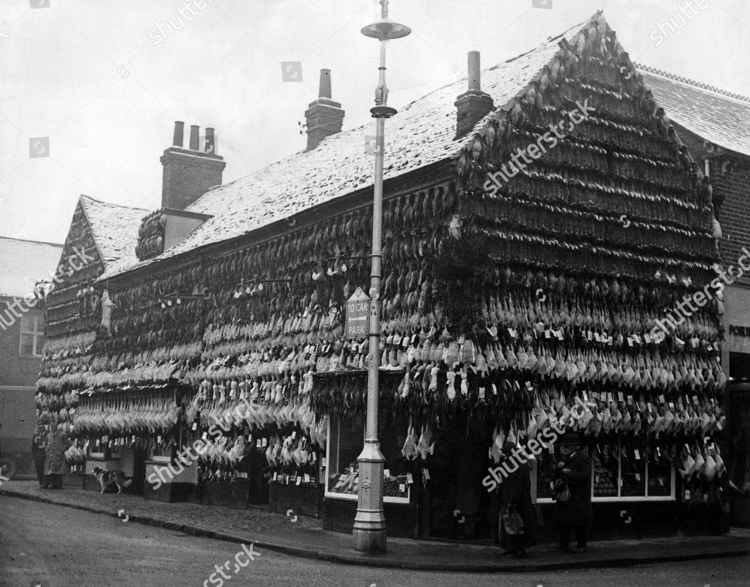 Spectacular Display Turkeys Hanging Outside Butchers Editorial Stock ...