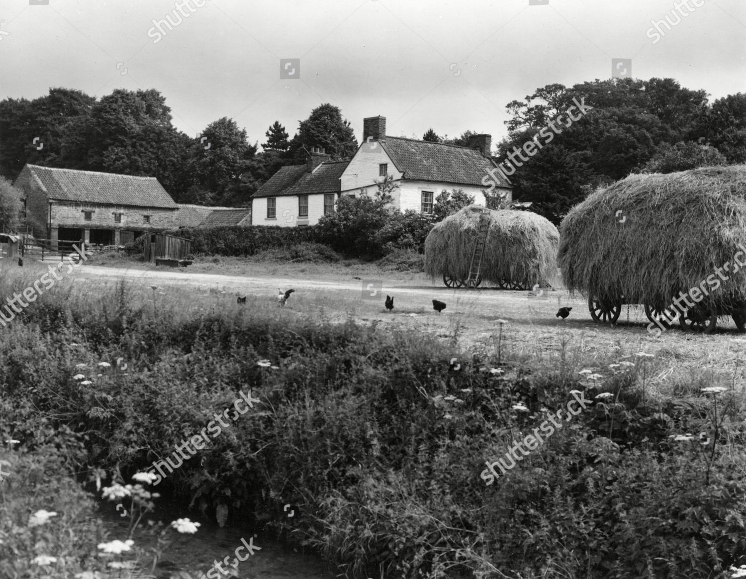 Idyllic Farmhouse Thornton Ledale Yorkshire Hay Editorial Stock Photo ...