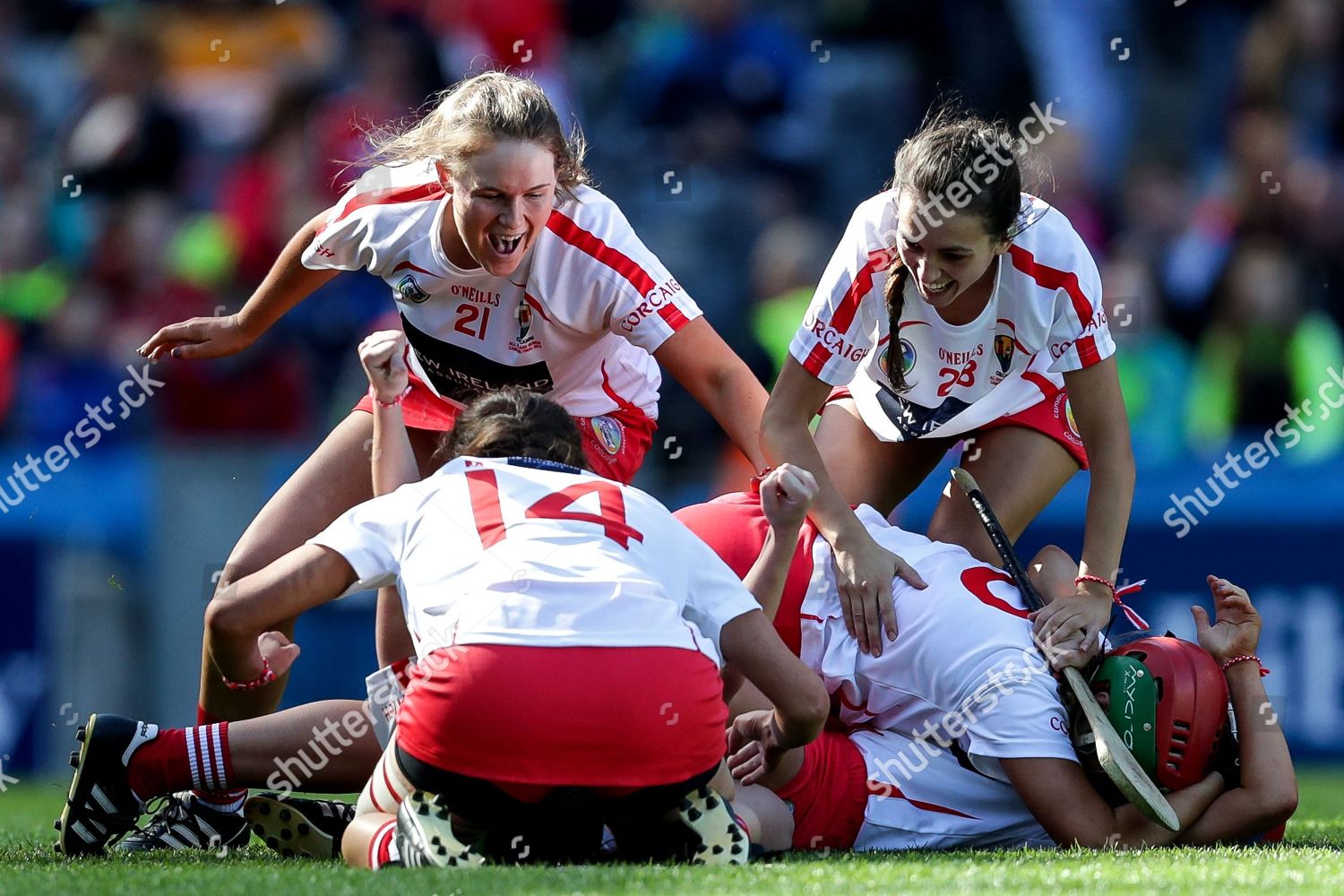 Cork Vs Down Cork Players Celebrate Editorial Stock Photo - Stock Image ...