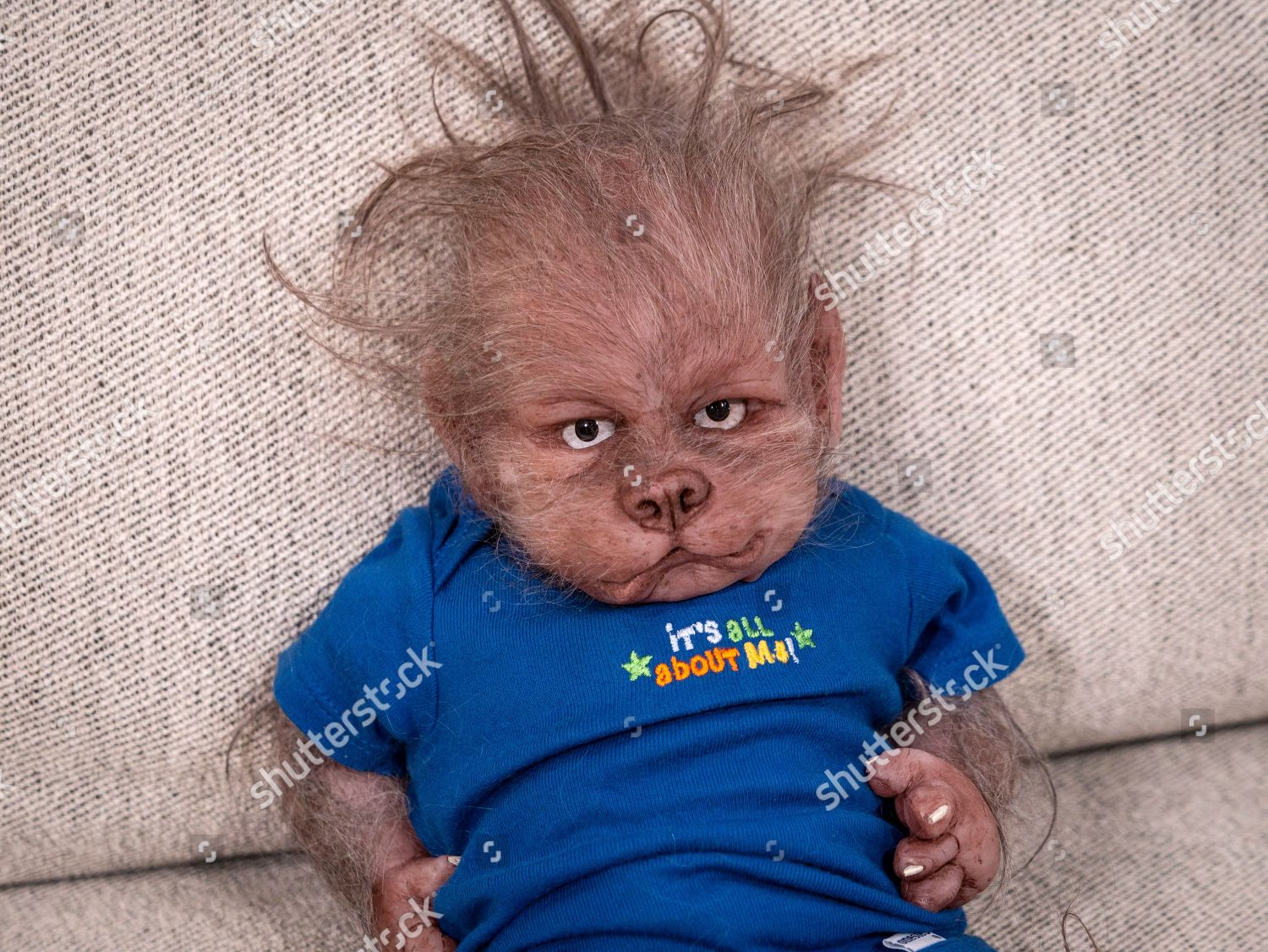Werepup Joshua Editorial Stock Photo - Stock Image | Shutterstock