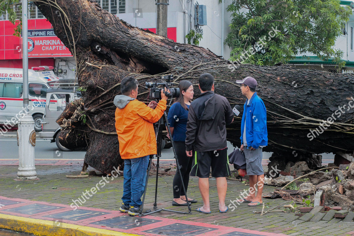 Different Medias Gathered Around Fallen Acacia Editorial Stock Photo ...