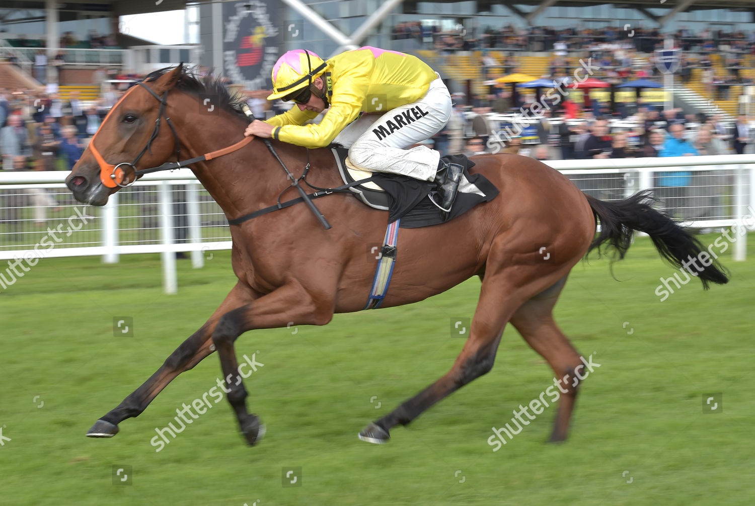 Dirty Rascal Tom Marquand Wins Dubai Editorial Stock Photo - Stock ...