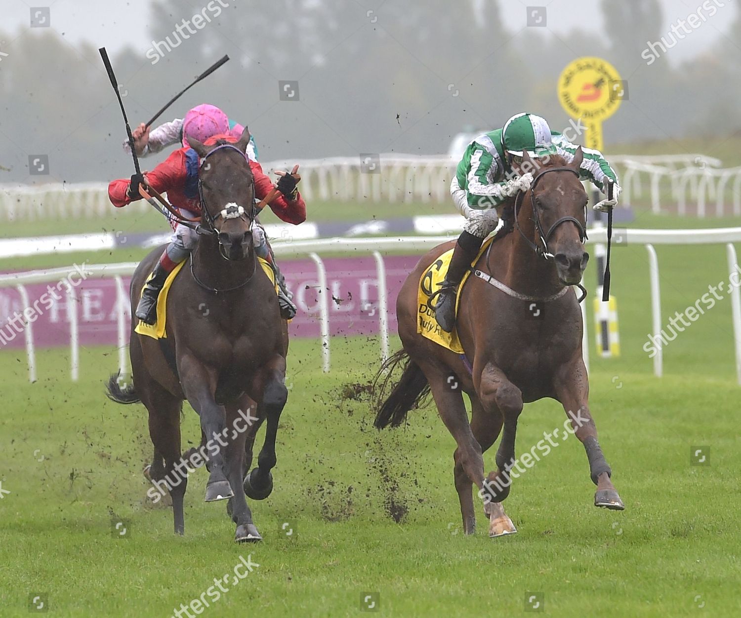 R Mr Lupton Gerald Mosse Wins Editorial Stock Photo - Stock Image ...