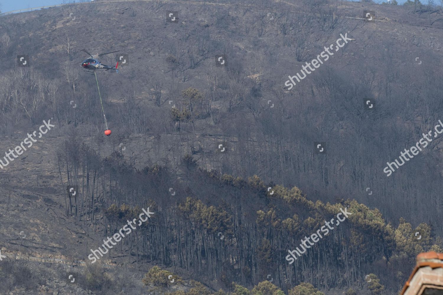 Helicopter Sprays Water Combat Huge Forest Editorial Stock Photo ...