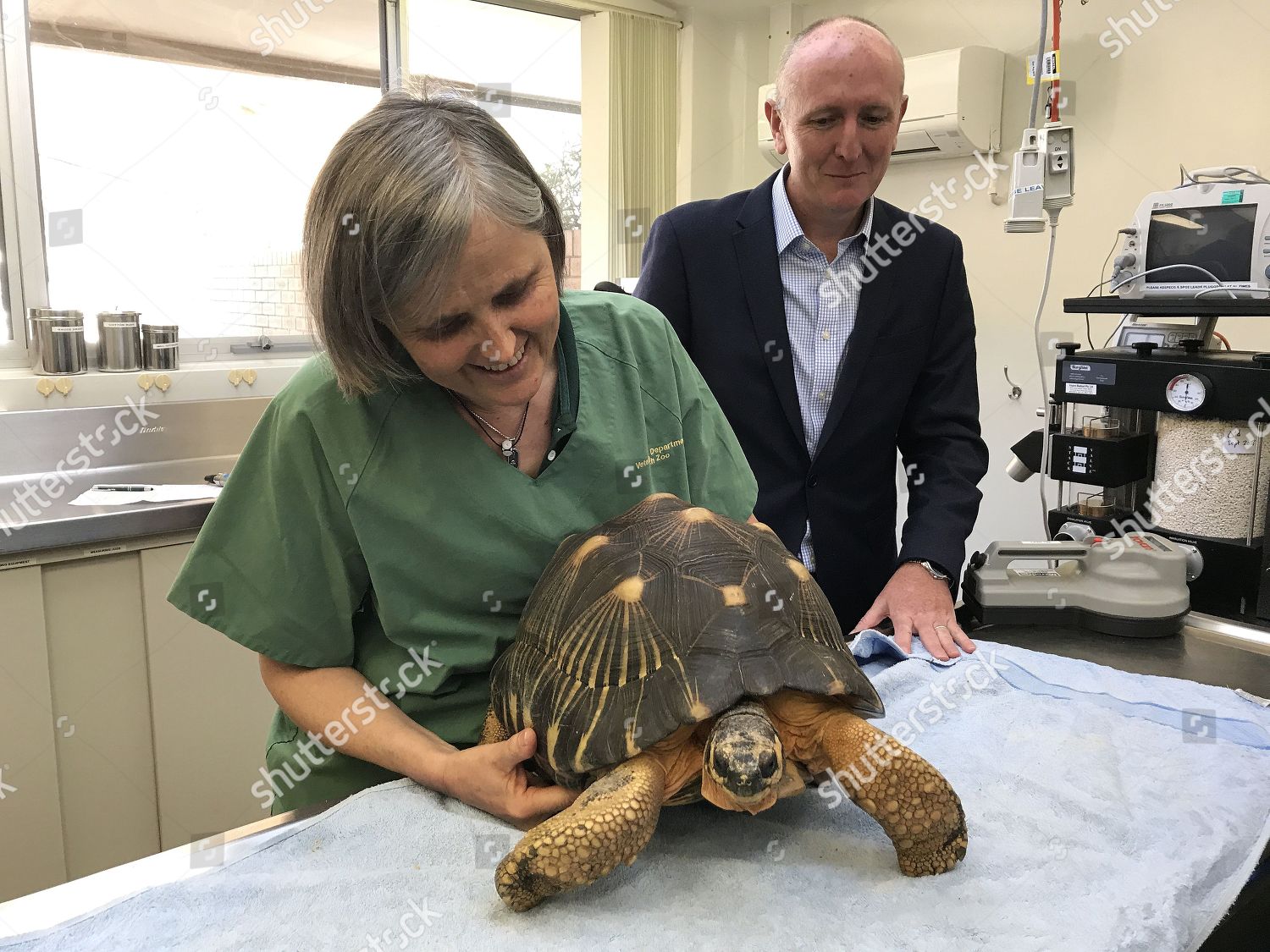 Perth Zoo Senior Vet Simone Vitali Editorial Stock Photo - Stock Image ...