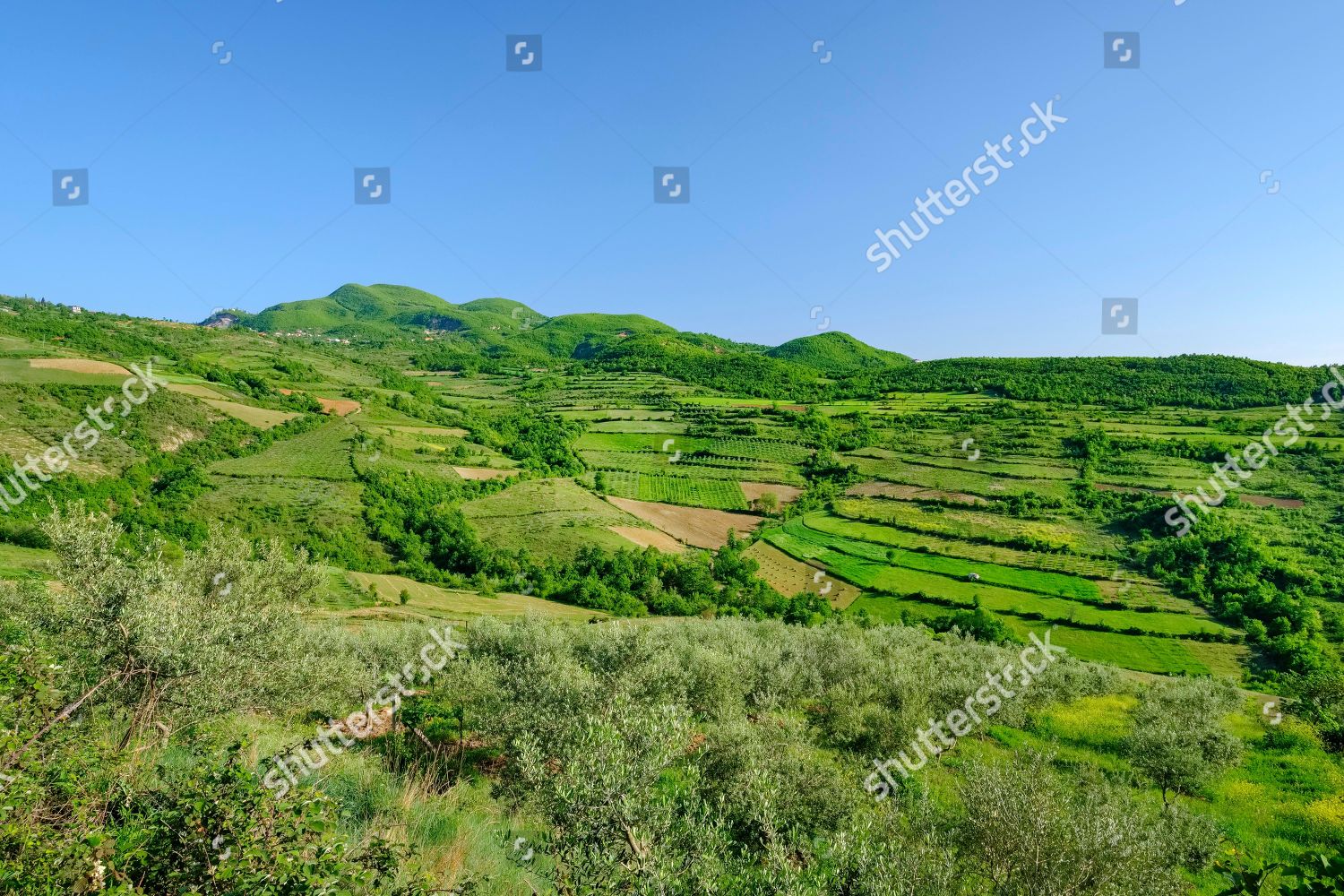Shpati Mountains Around Shelcan Near Elbasan Editorial Stock Photo ...