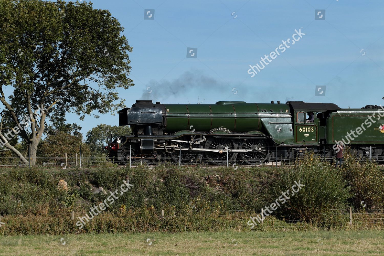 Worldfamous Flying Scotsman 60103 Steam Train Editorial Stock Photo ...