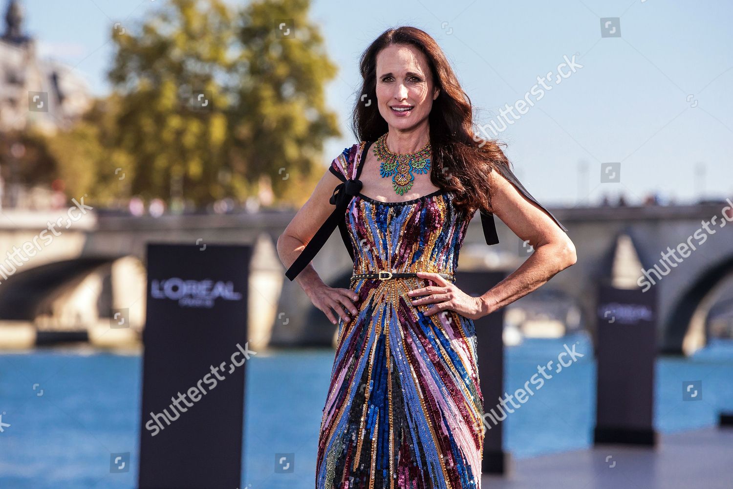Us Actress Model Andie Macdowell Presents Editorial Stock Photo - Stock ...