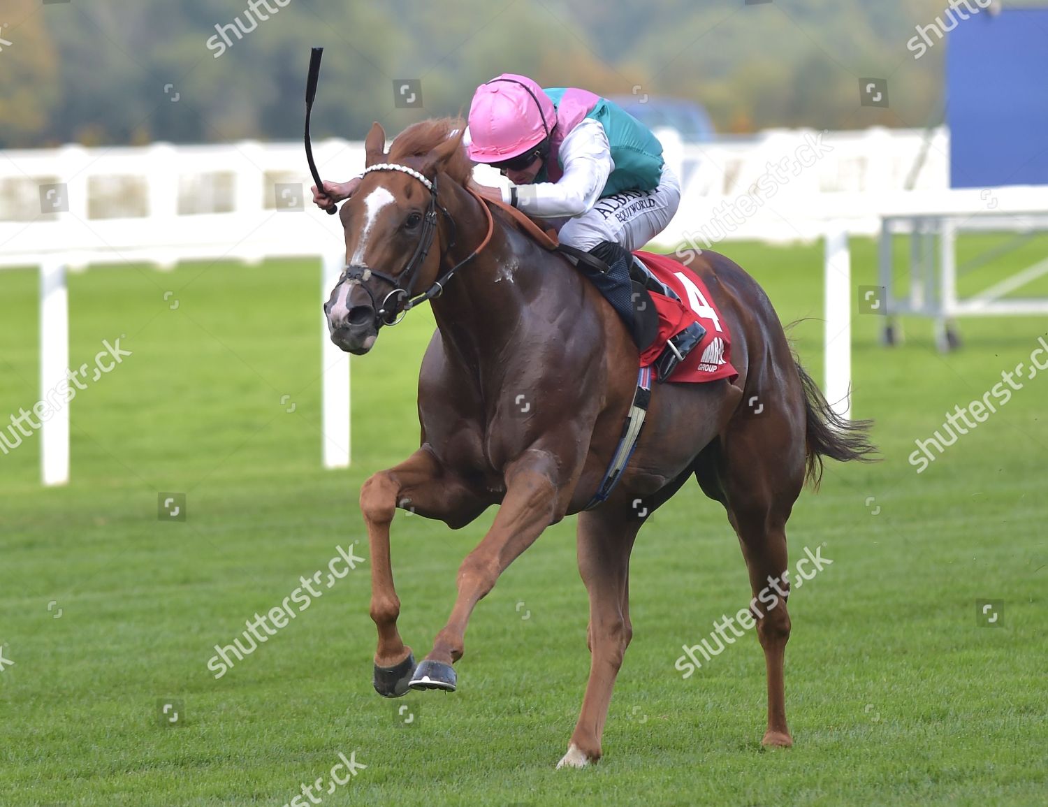 Blue Mist Ryan Moore Wins Markey Editorial Stock Photo - Stock Image ...