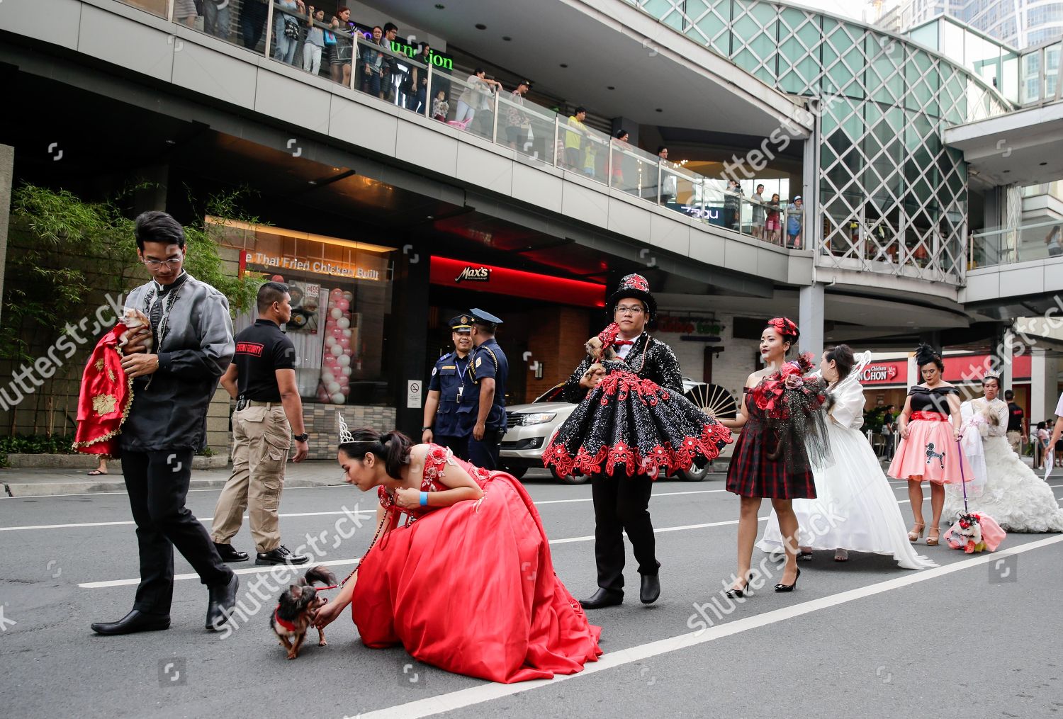 Animal Owners Parade Their Pets During Editorial Stock Photo - Stock ...